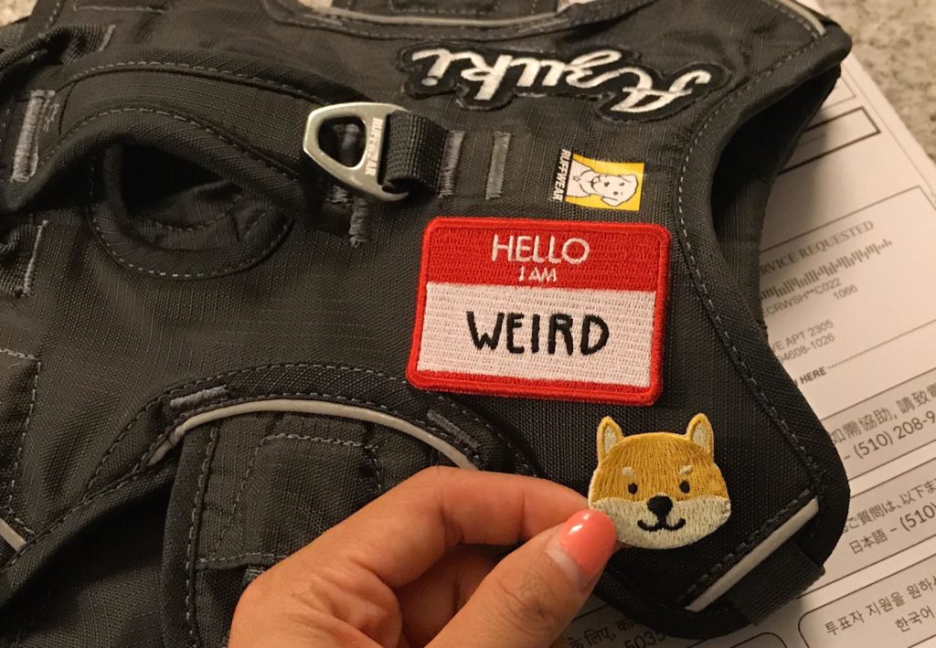 00-pinPhoto – Pitter Patters